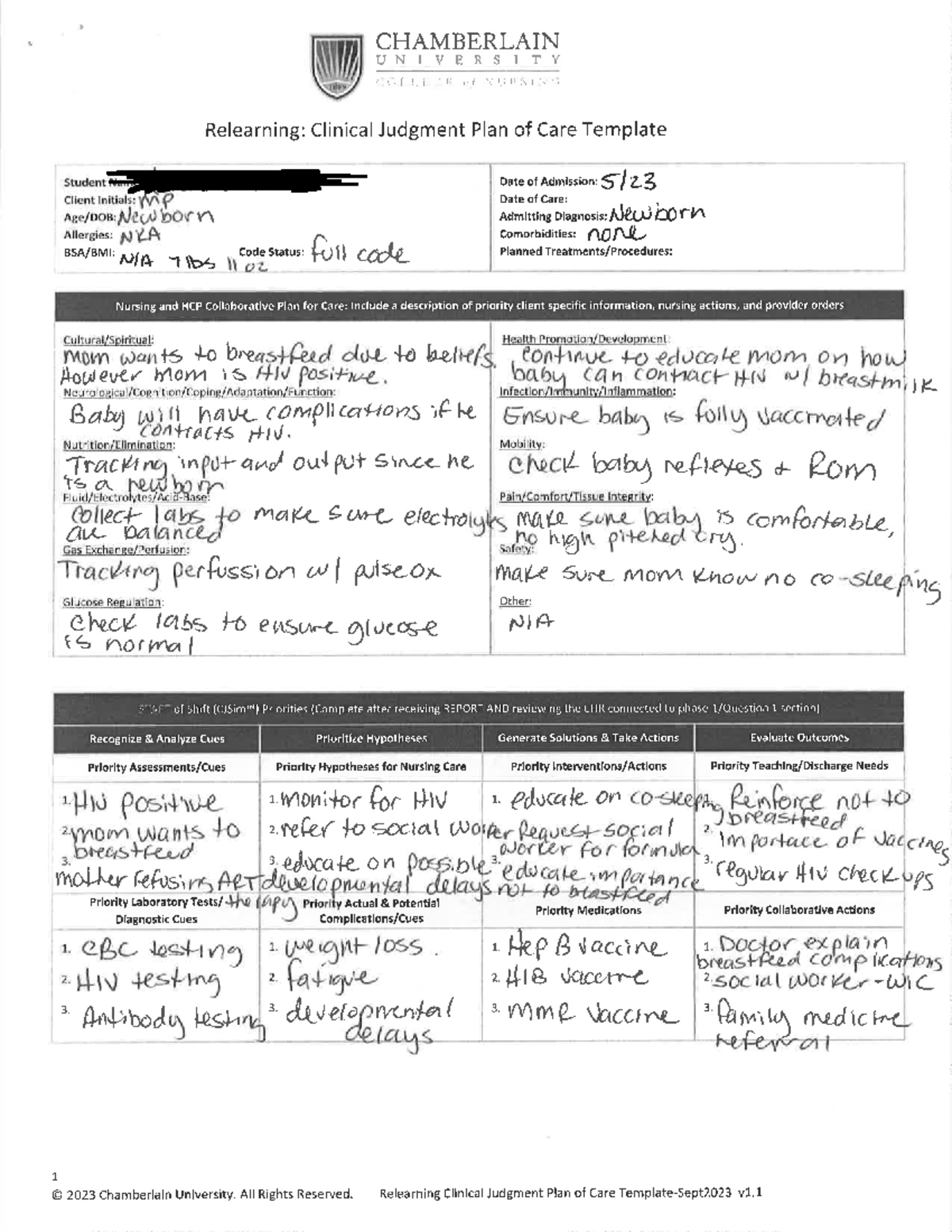 CJE Relearning Clinical Judgment Plan of Care NR 226 - CHAMBERLAIN ...