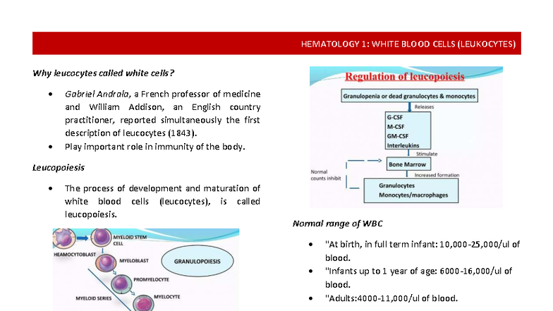 Hematology 1: Lecture Notes on White Blood Cells (Leukocytes) - Studocu