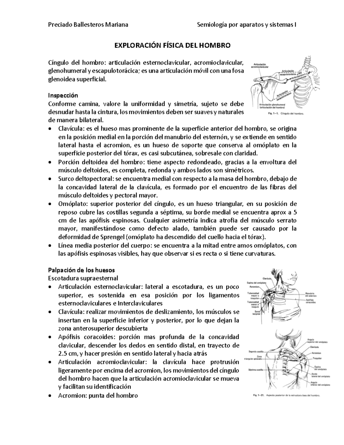 3. Resumen de hombro Hoppenfeld - EXPLORACIÓN FÍSICA DEL HOMBRO Cíngulo ...