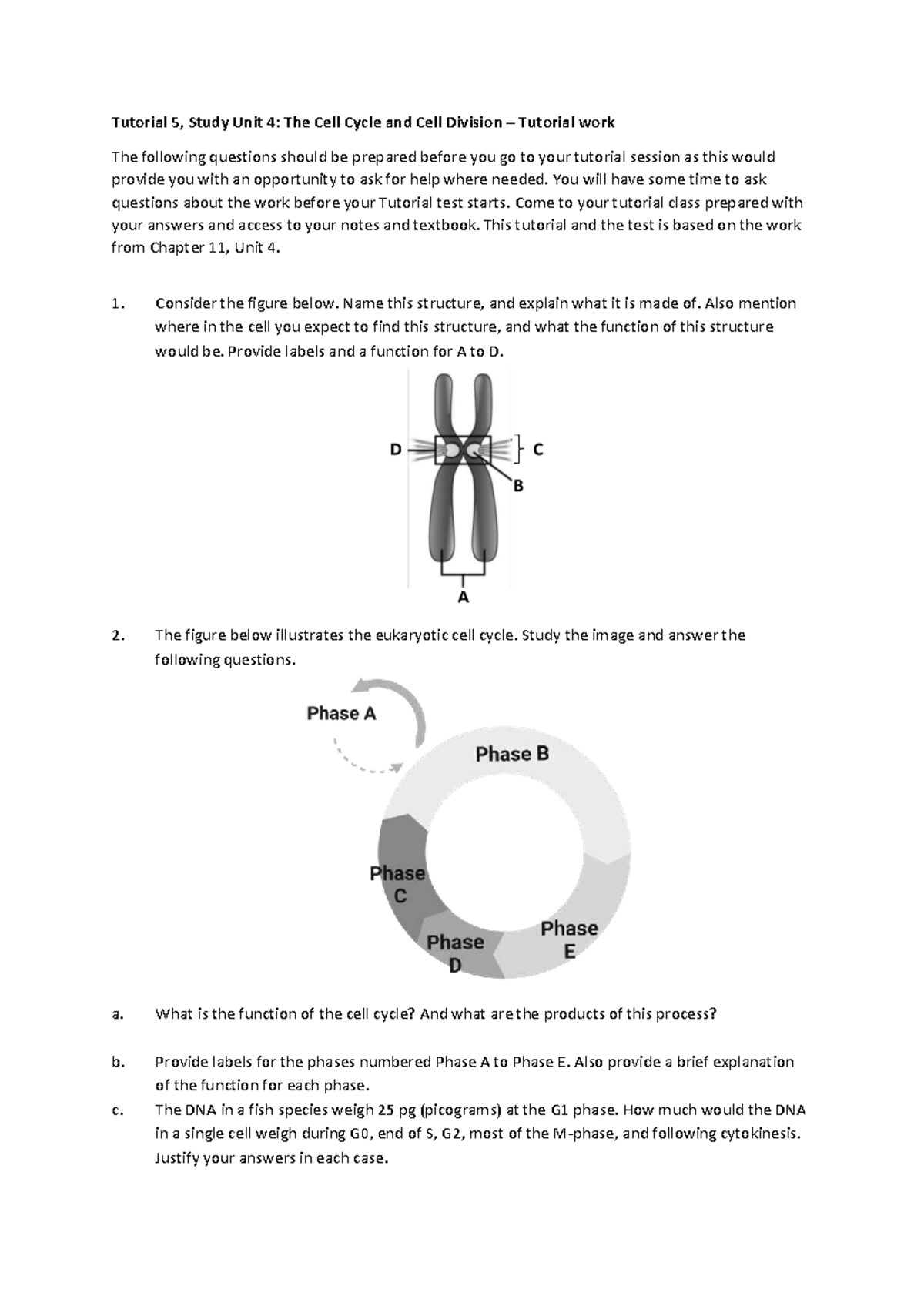 Tutorial 5 - Lecture Unit 4: The Cell Cycle & Division Prep (31Mar-4Apr ...
