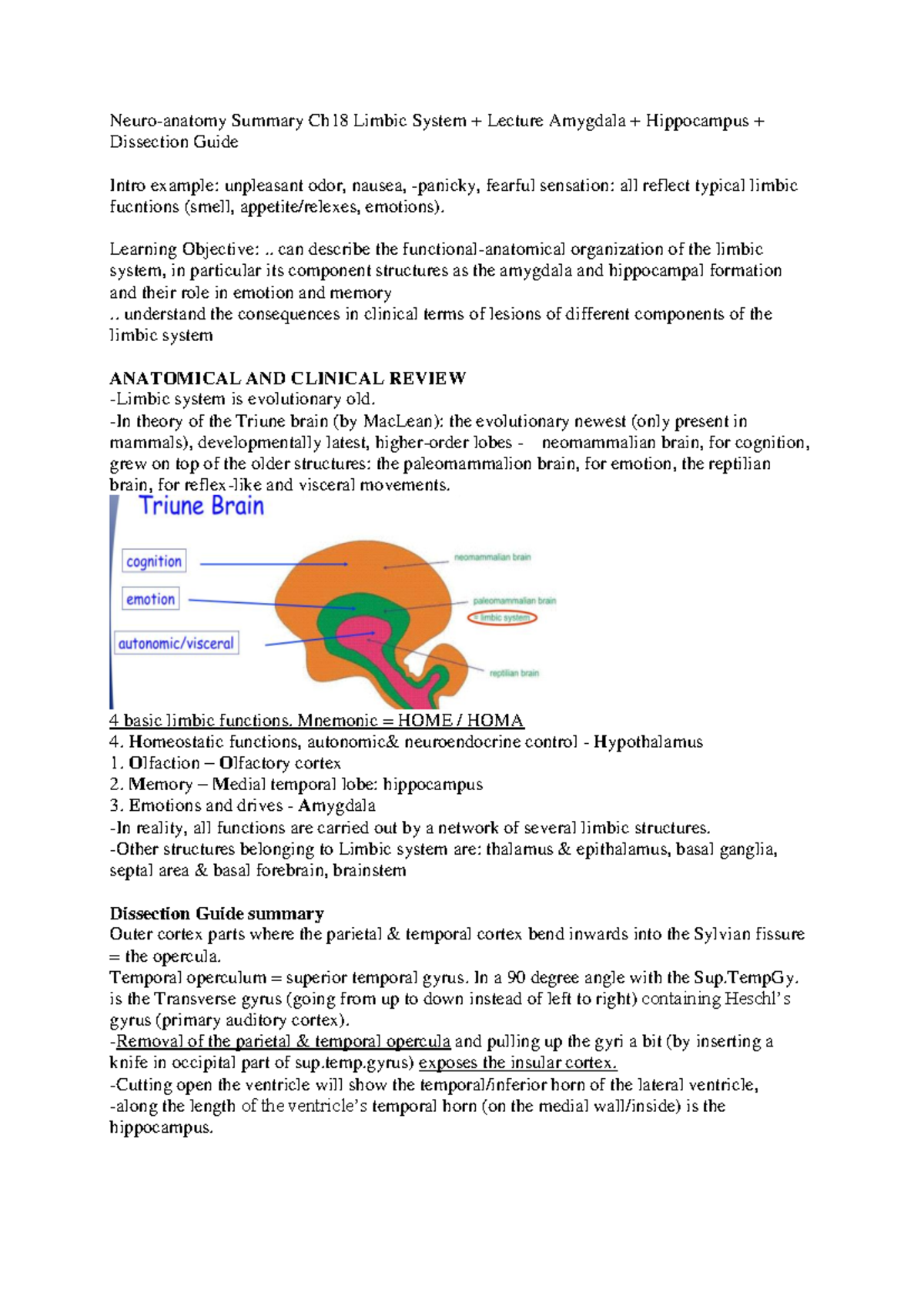 Summary Neuroanatomy Through Clinical Cases, Hal Blumenfeld, Lecture (s ...