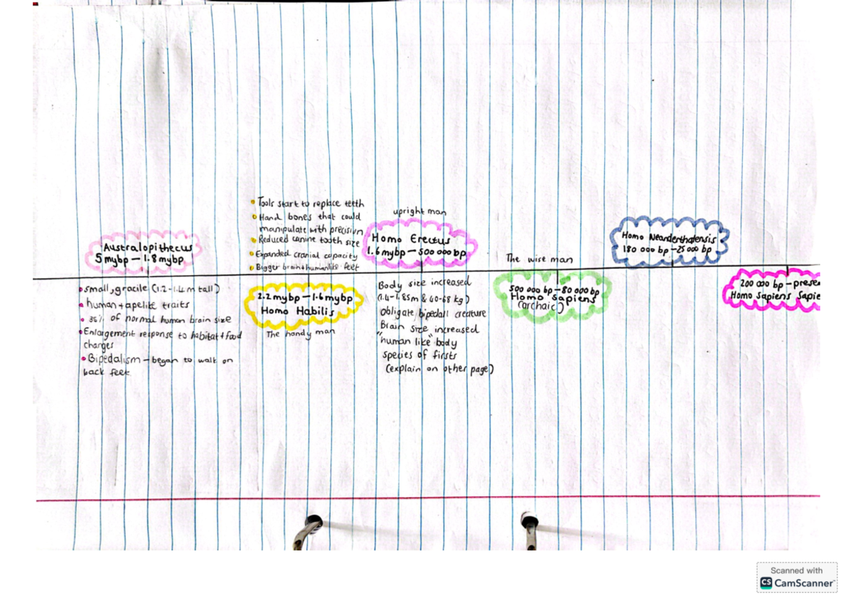 Document Analysis and Findings on Economic Trends - ECON 301 Final Exam ...