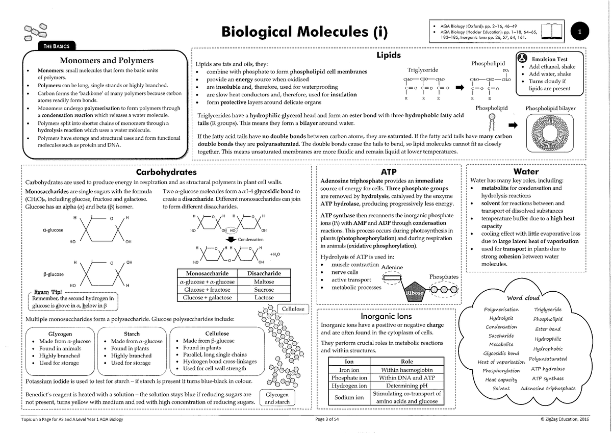 AQA Biology AS & A Level: Comprehensive Topics on a Page for Year 12 ...