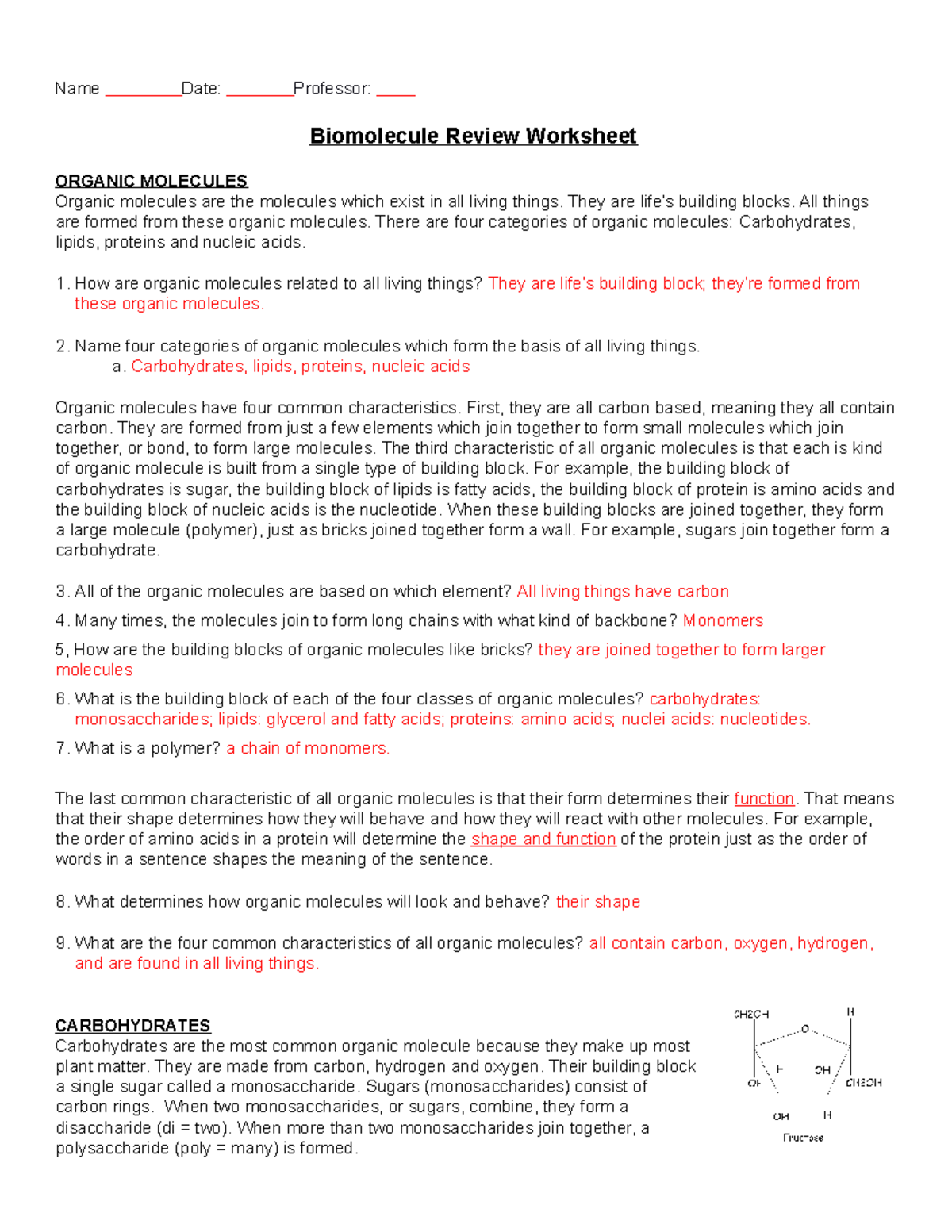 Biomolecule Review Worksheet Answers for Biology 101 - Studocu