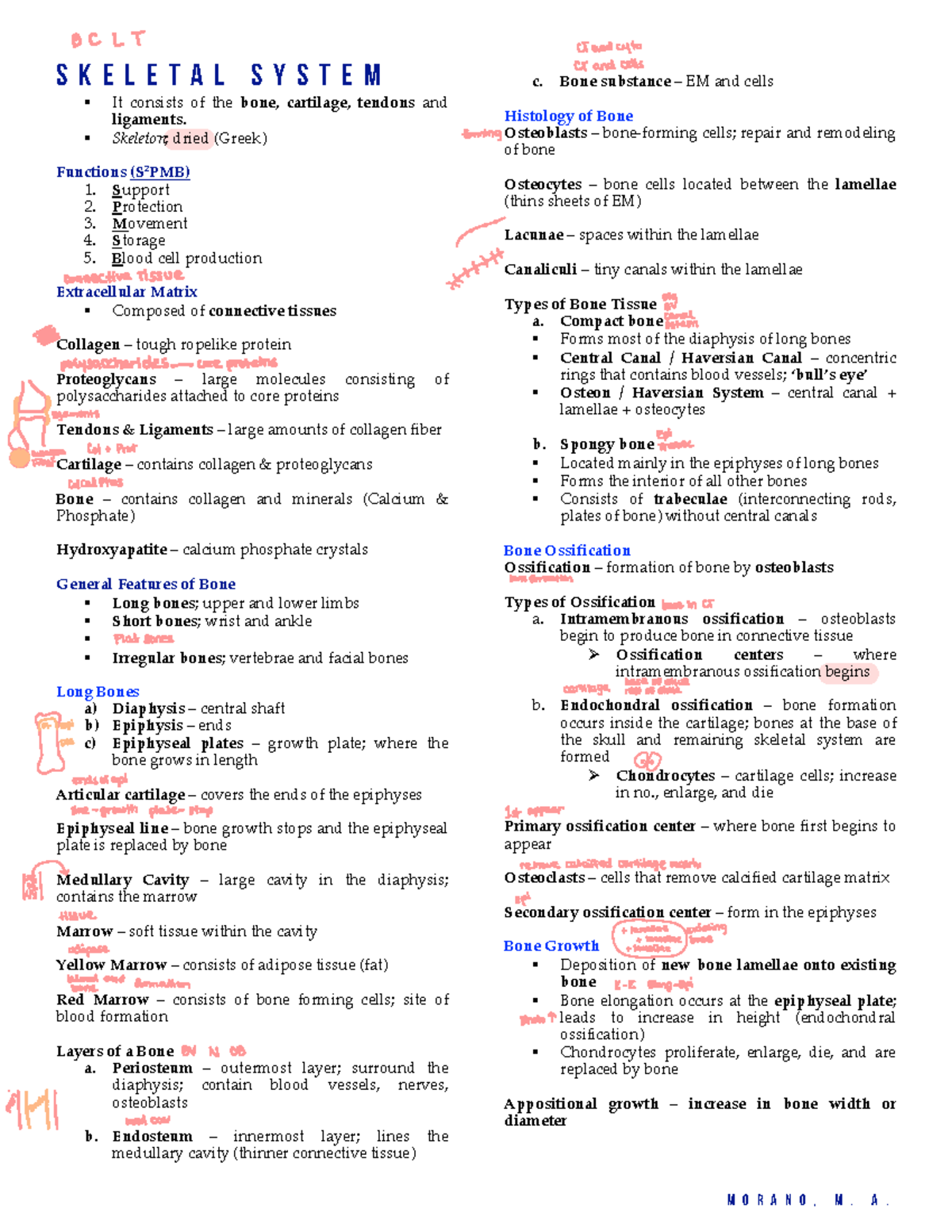 6-Skeletal-System Overview for ANAPHY Class Notes - Studocu