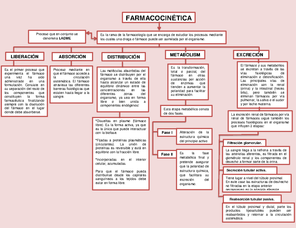 Mapa Conceptual de Farmacocinética: Procesos LADME y Excreción - Studocu