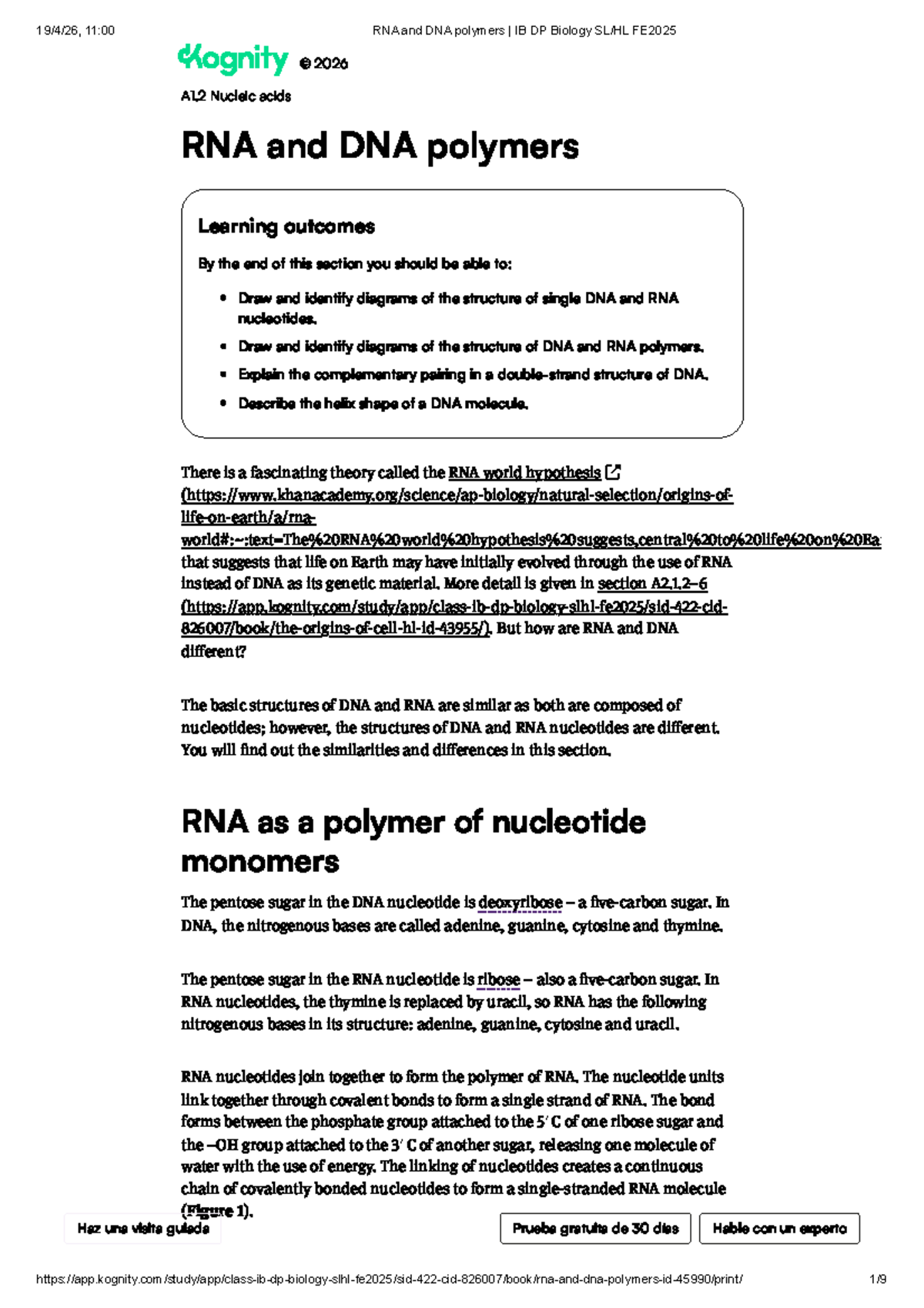 RNA and DNA Polymers: Key Concepts for IB DP Biology FE2025 - Studocu