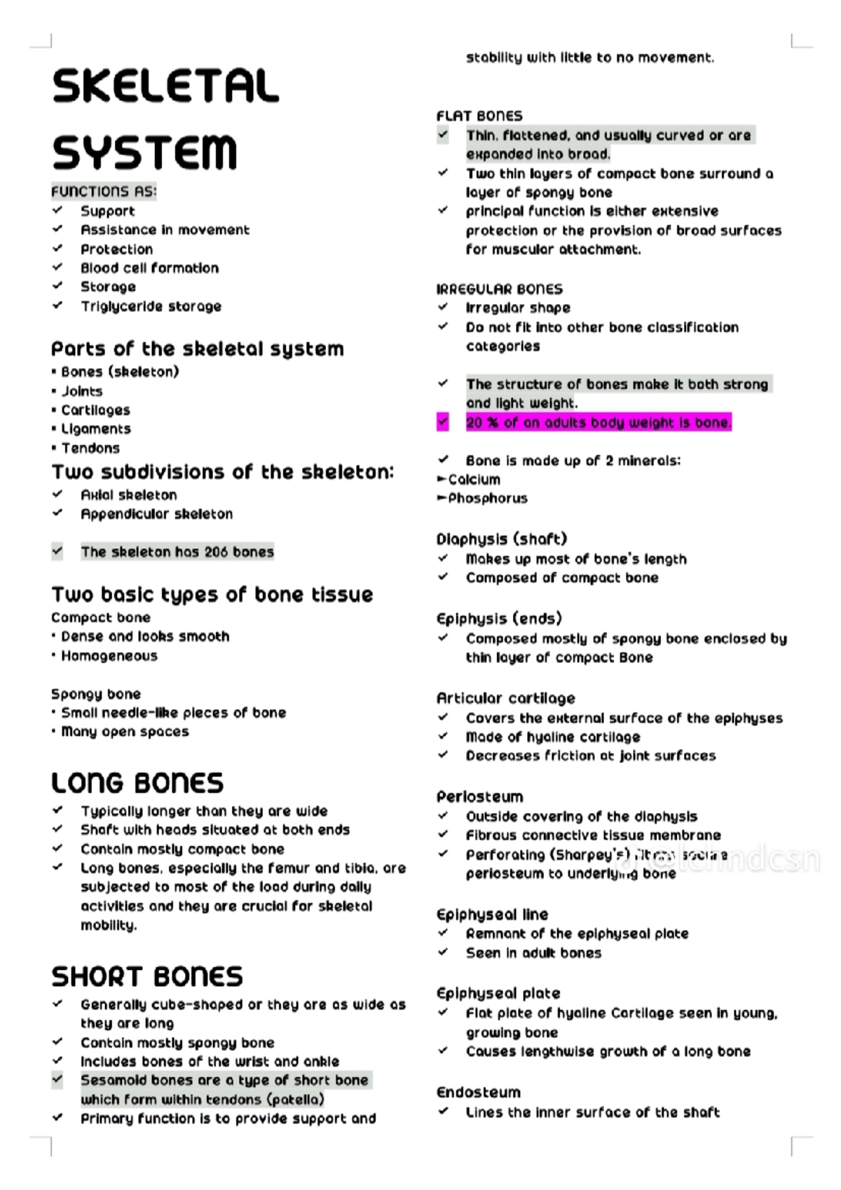 Skeletal System Overview: Structure, Functions, and Bone Types - Studocu