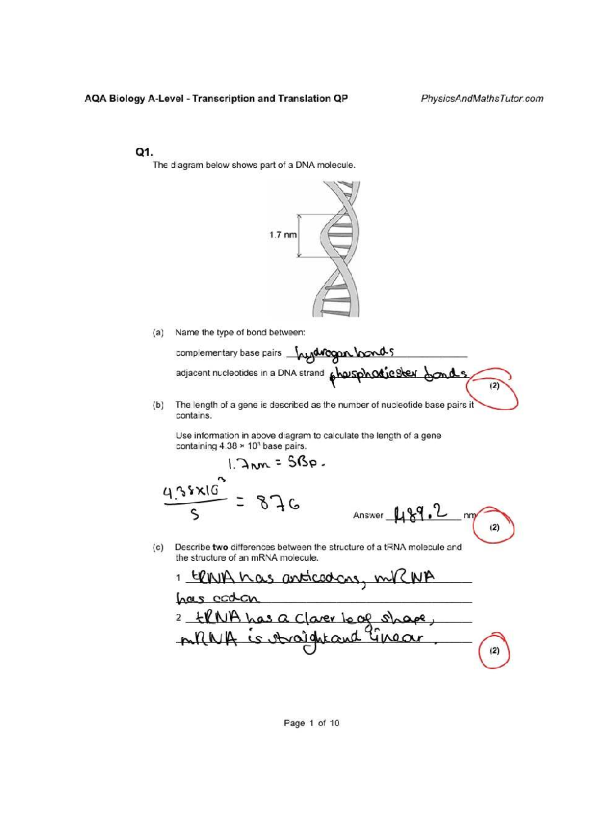AQA Biology Transcription and Translation Questions - QP Analysis - Studocu