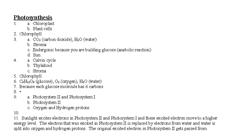 Photosynthesis Study Guide: Key Concepts and Processes - Studocu