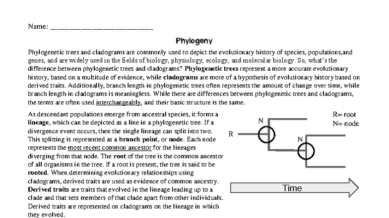 Phylogeny: Understanding Trees & Cladograms in Evolutionary Biology - Studocu