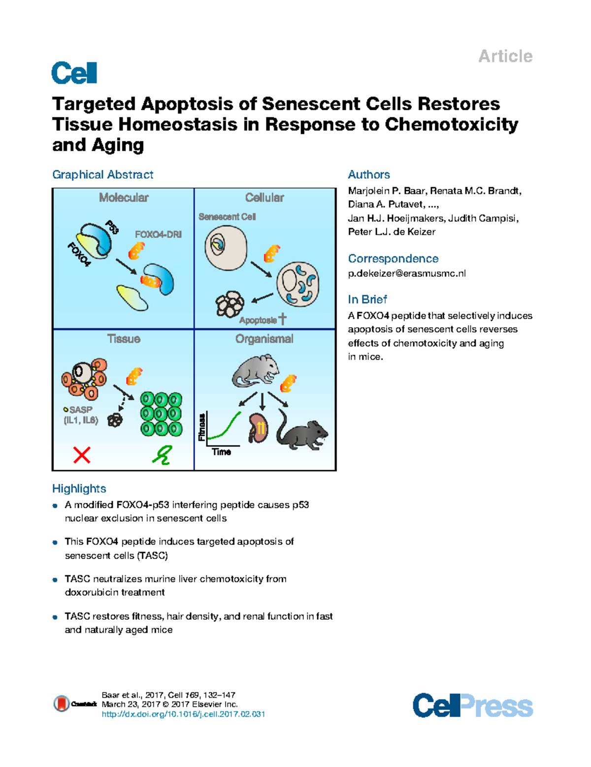 Targeted Apoptosis of Senescent Cells: Restoring Homeostasis in Aging ...
