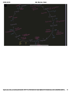 20 Essential Amino Acids - Small amino ten IH Coo Hin ti coo acids ...