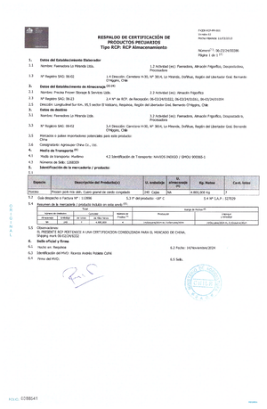 CASO Mejora - Contador Auditor Integrantes: Rocío Sánchez Horacio Frías ...