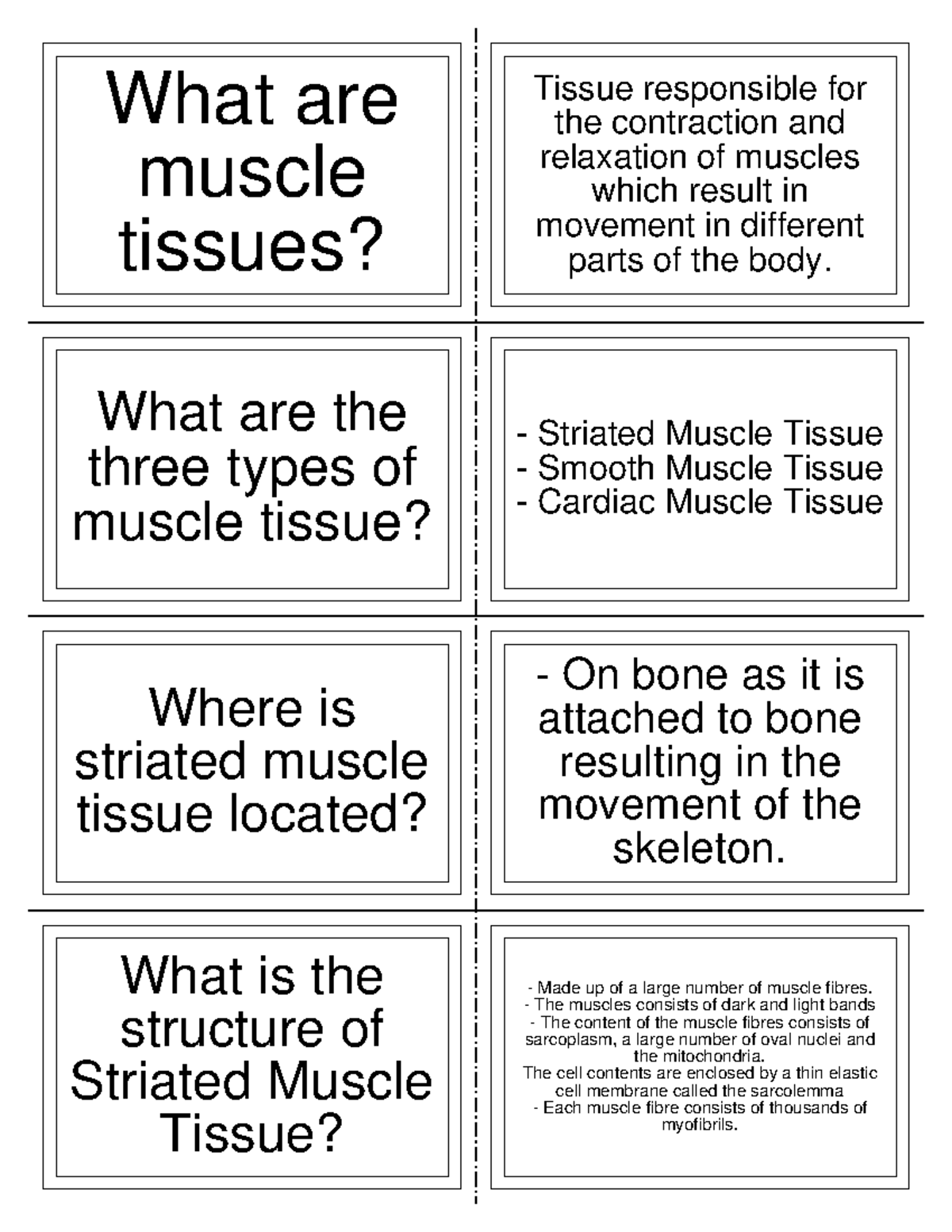 Printable Flashcards about Muscle Tissue - Life Science Grade 10 - What ...