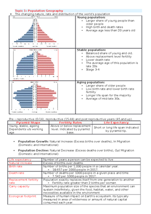 Spartan Society: Social Hierarchy and Roles of Spartiates (HIST 101 ...
