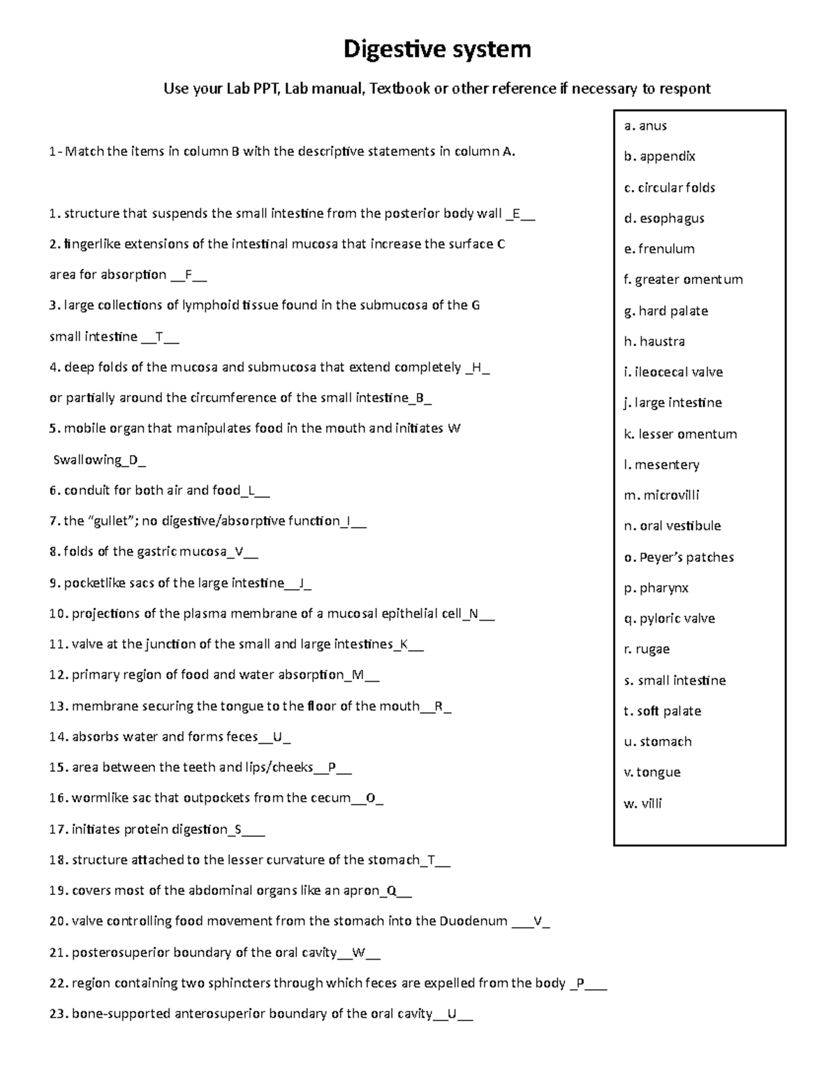 7 Anatomy of Digestive system - Digestive system Use your Lab PPT, Lab ...