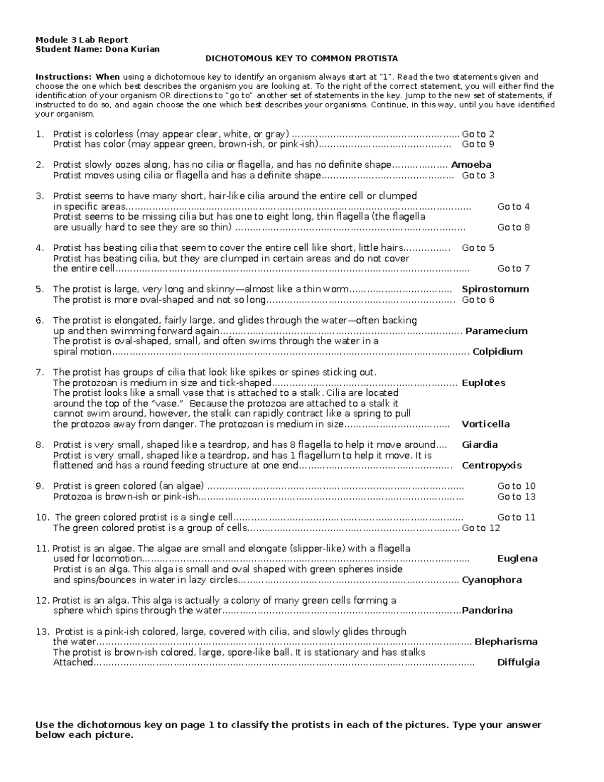 Module 3 Lab Report: Dichotomous Key for Common Protista - Studocu