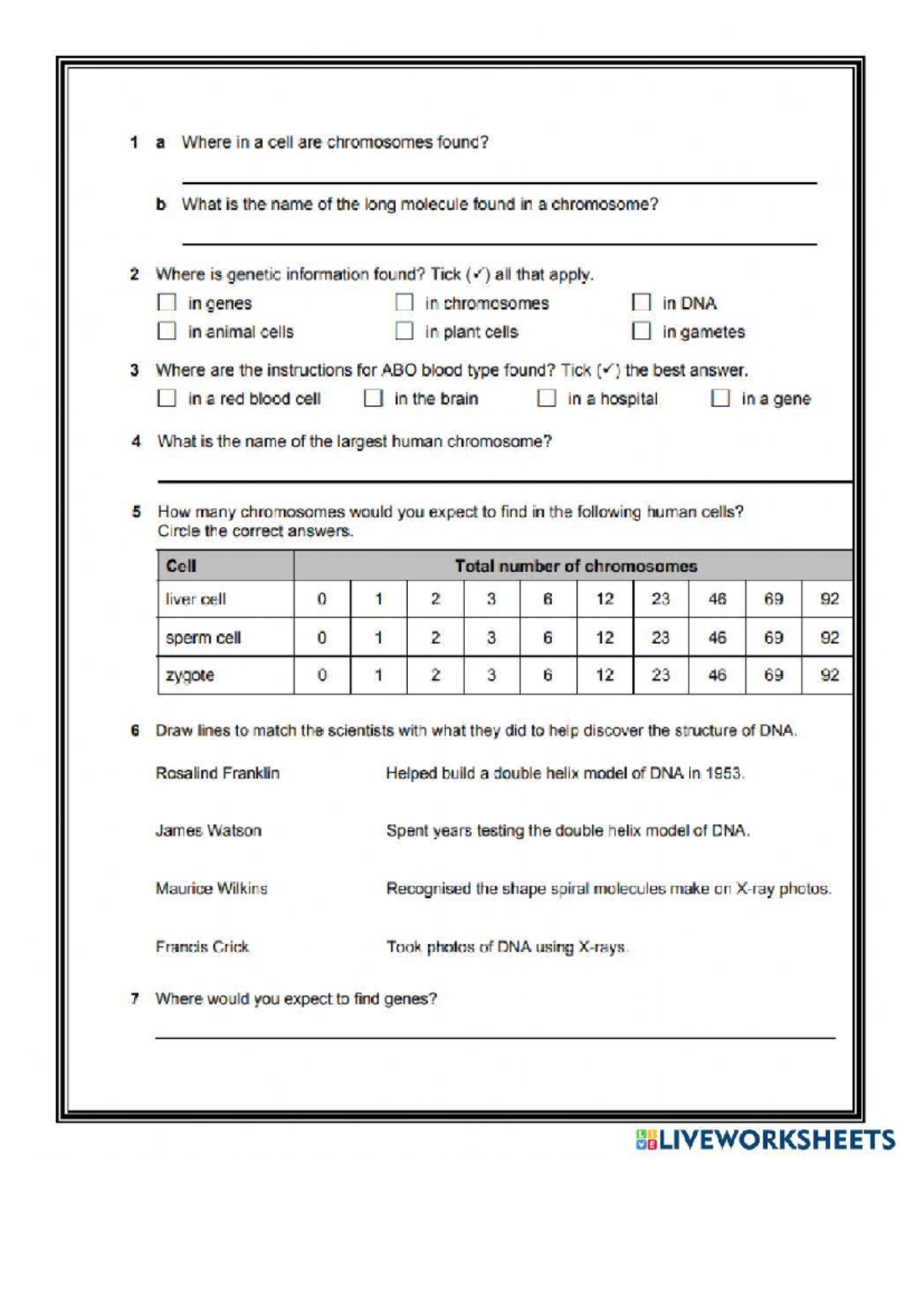 Worksheet 1095738 - Chromosomes and Genetic Info Practice - Studocu