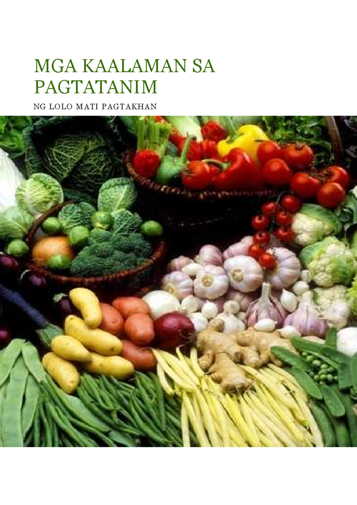 MGA KAALAMAN SA PAGTATANIM NG LOLO MATI: Pagtatanim at Pag-aalaga ng ...