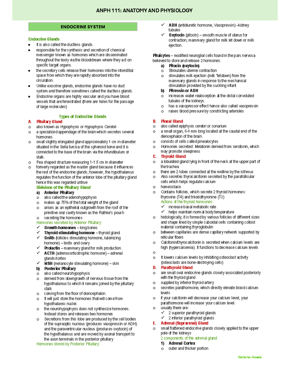 ANPH111 Final Exam Review: Endocrine System and Anatomy - Studocu