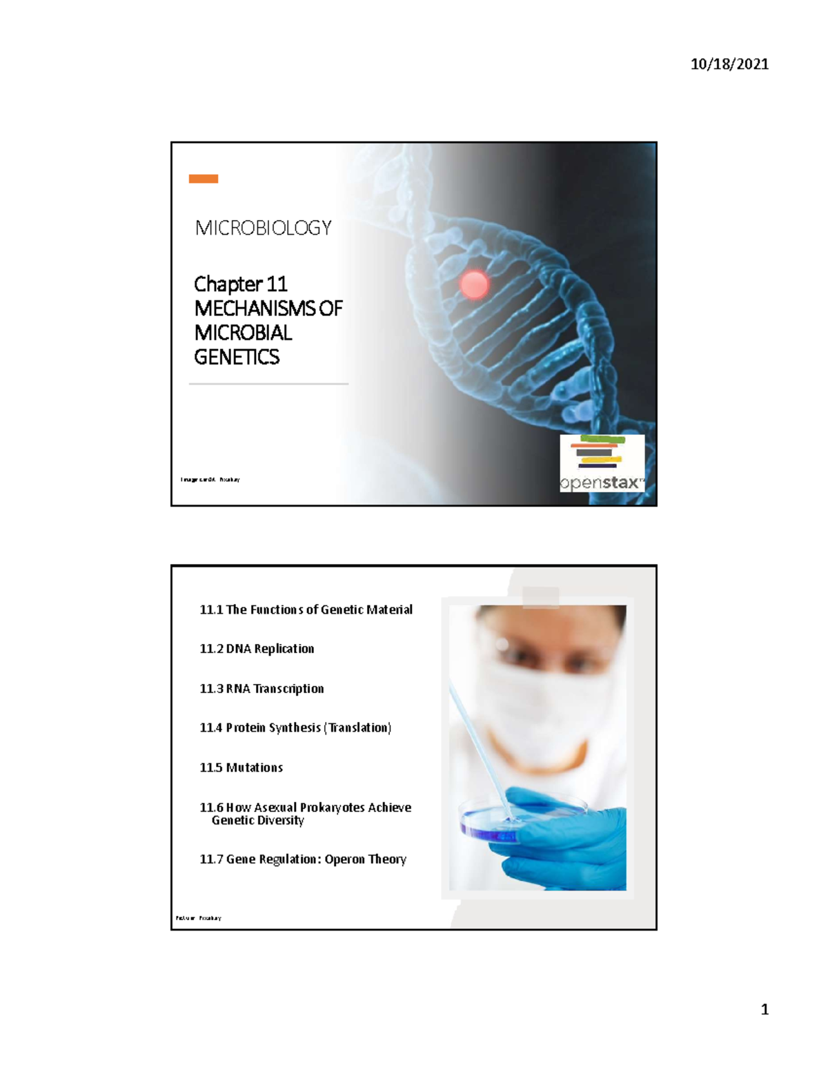 MICROBIOLOGY COLLEGE PHYSICS Chapter 11: Mechanisms of Microbial ...