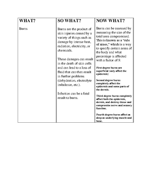 Ethics Application Worksheet - Ethics Application Worksheet ...