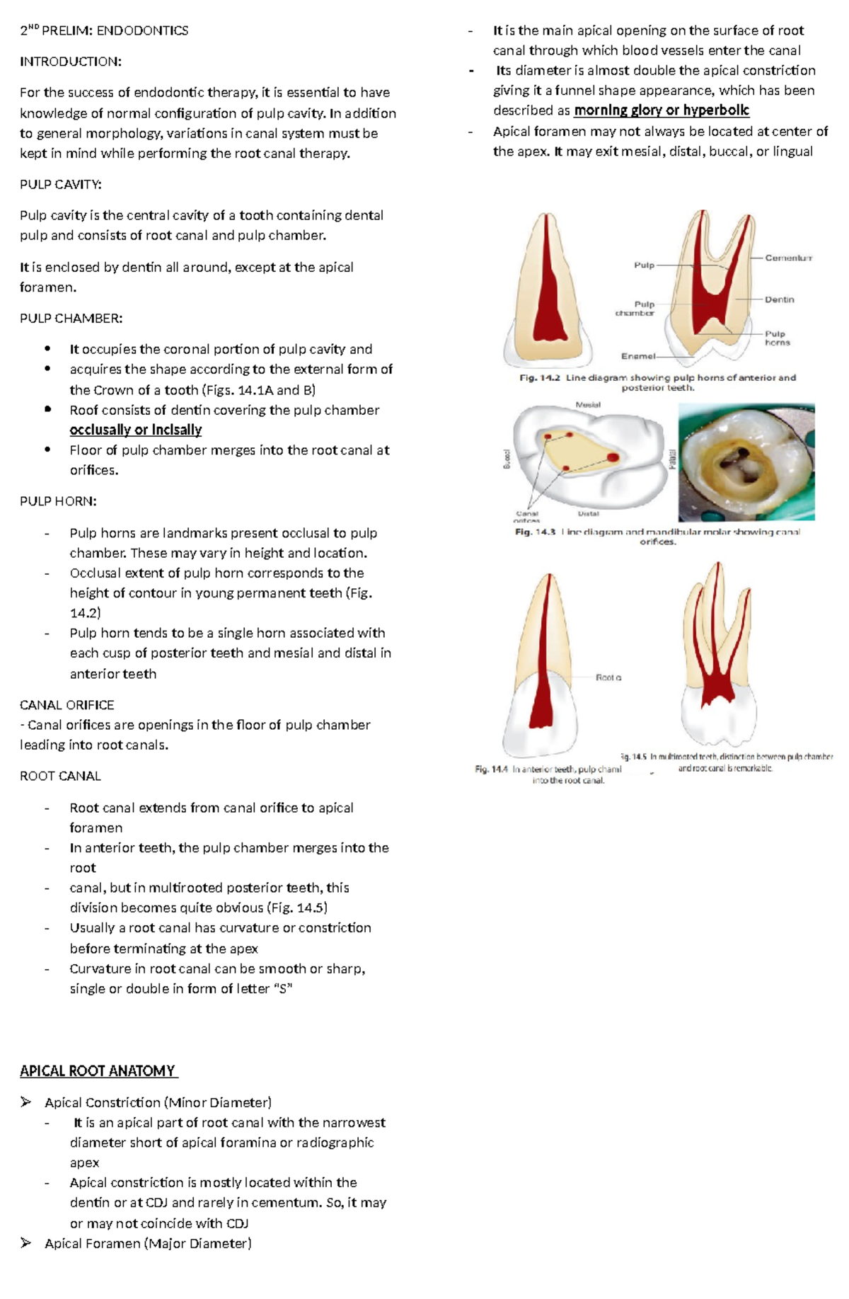 2ND- Prelim ENDO - obturation, properties of good obturation, gutta ...