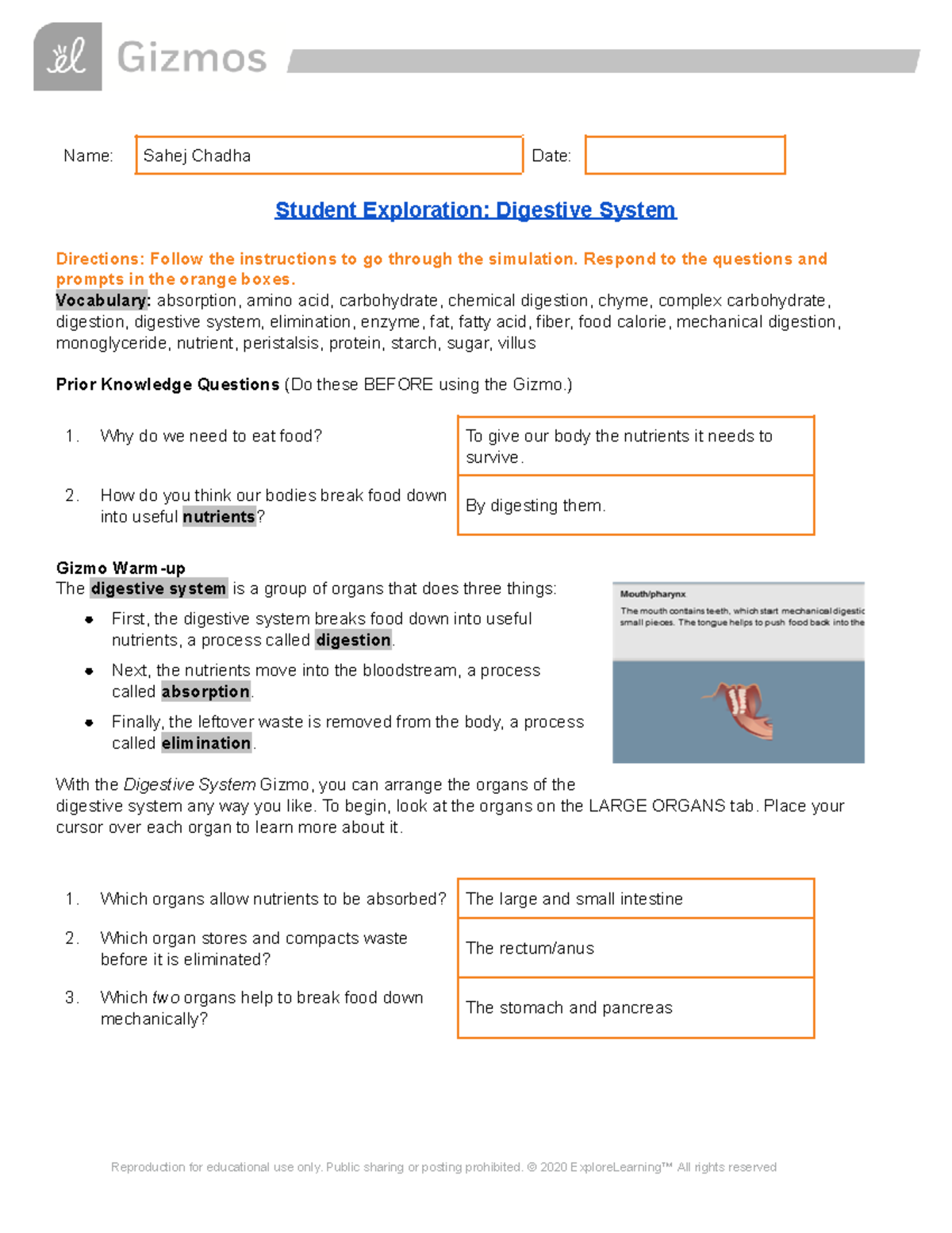 Exploration & Simulation of Digestive System - Sahej Chadha's Study ...