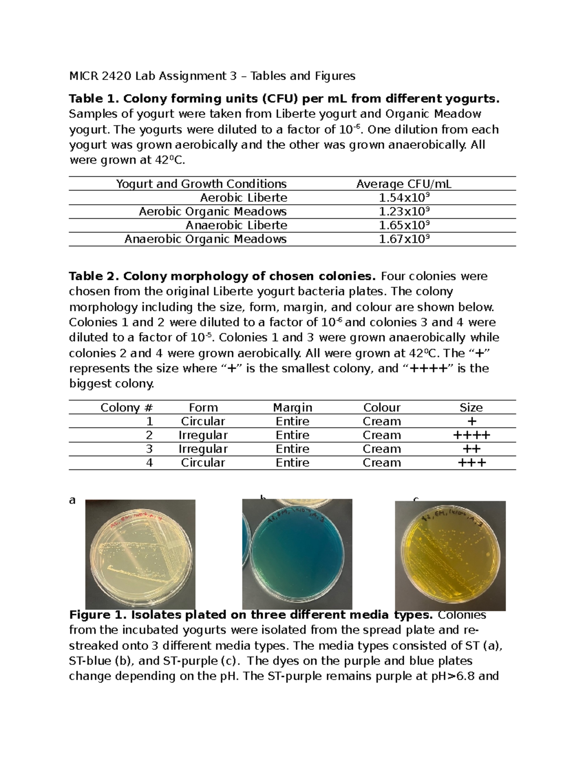 MICR 2420 Lab Assignment 3 – Analysis of Yogurt CFU and Morphology ...