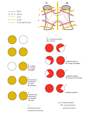 CPD C-104913 Code 5 (V3) - 06 - C- How to use early re-test codes 5, 5 ...
