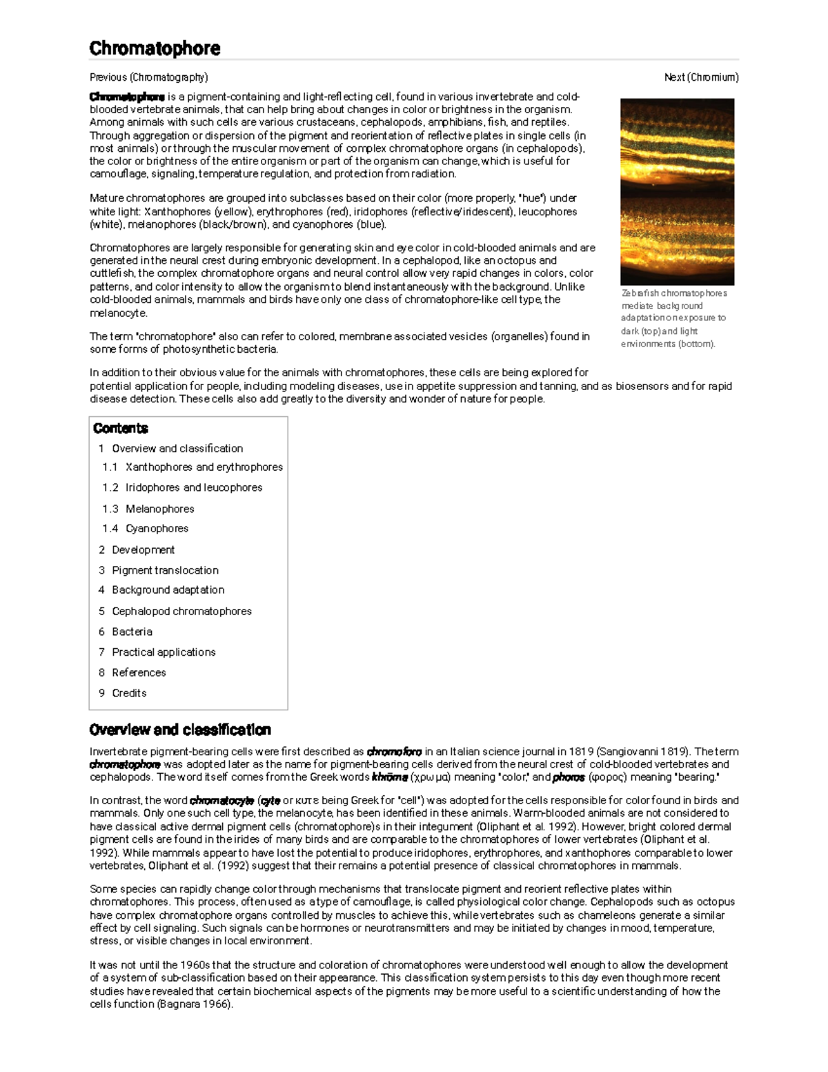 Chromatophores and Melanophores: Understanding Pigment-Containing Cells ...