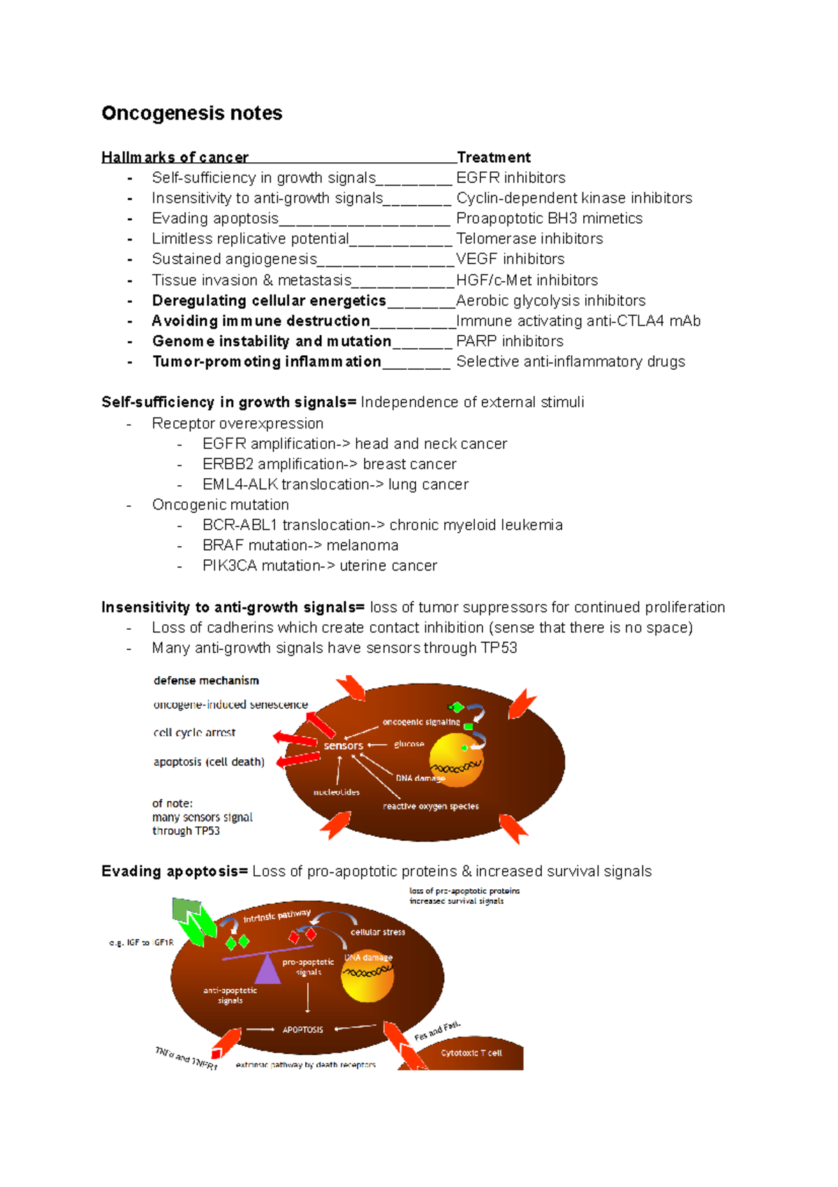 Oncogenesis Overview: Key Mechanisms & Treatments for Cancer Pathways ...