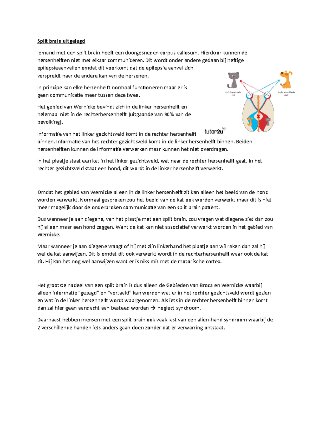 HC 9 – anatomie van rug en wervelkolom - GNK 2 blok 1 ZHB 2 HC 9 ...