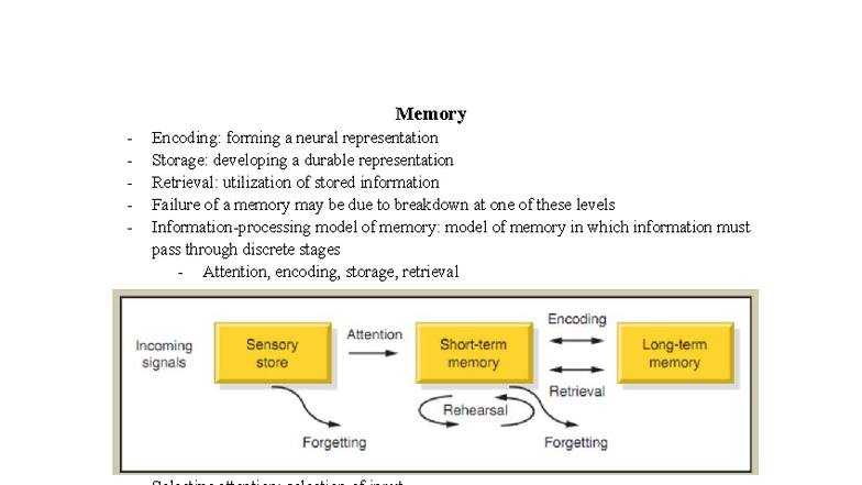 PSY-120 Chapter 7-8: Memory Encoding, Storage, and Retrieval Insights - Studocu