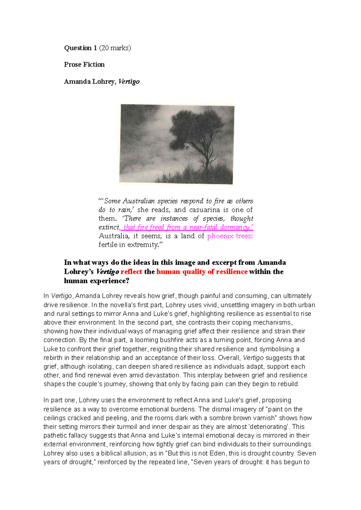 ENG 101: Essay on Resilience in Amanda Lohrey's "Vertigo" - Studocu