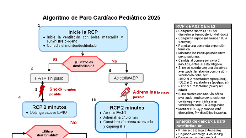 Algoritmos RCP Pediátrica 2025: Guía Completa de Emergencia - Studocu