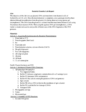 Unknown Bacteria Lab Report - W BIO-215L Identification of Unknown Bacteria Lab Aim: The ...
