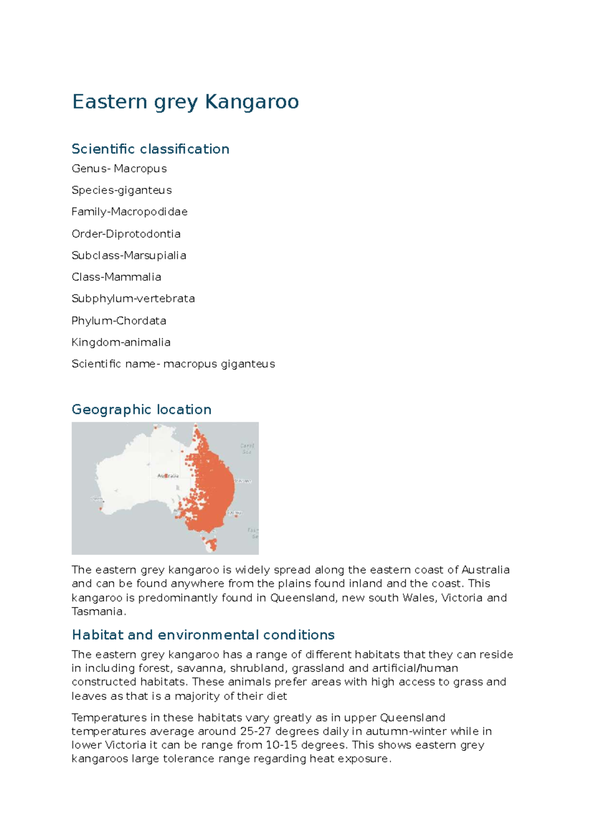 Eastern Grey Kangaroo: Classification, Habitat, and Behavior Study ...