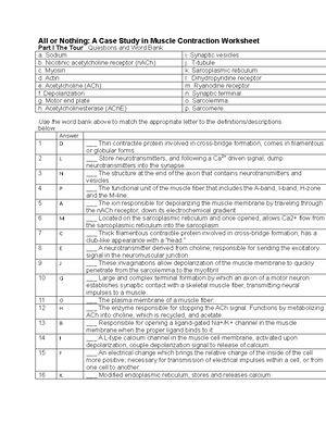 Comprehensive Study Guide for Cardiovascular Physiology and Diseases - Comprehensive ...