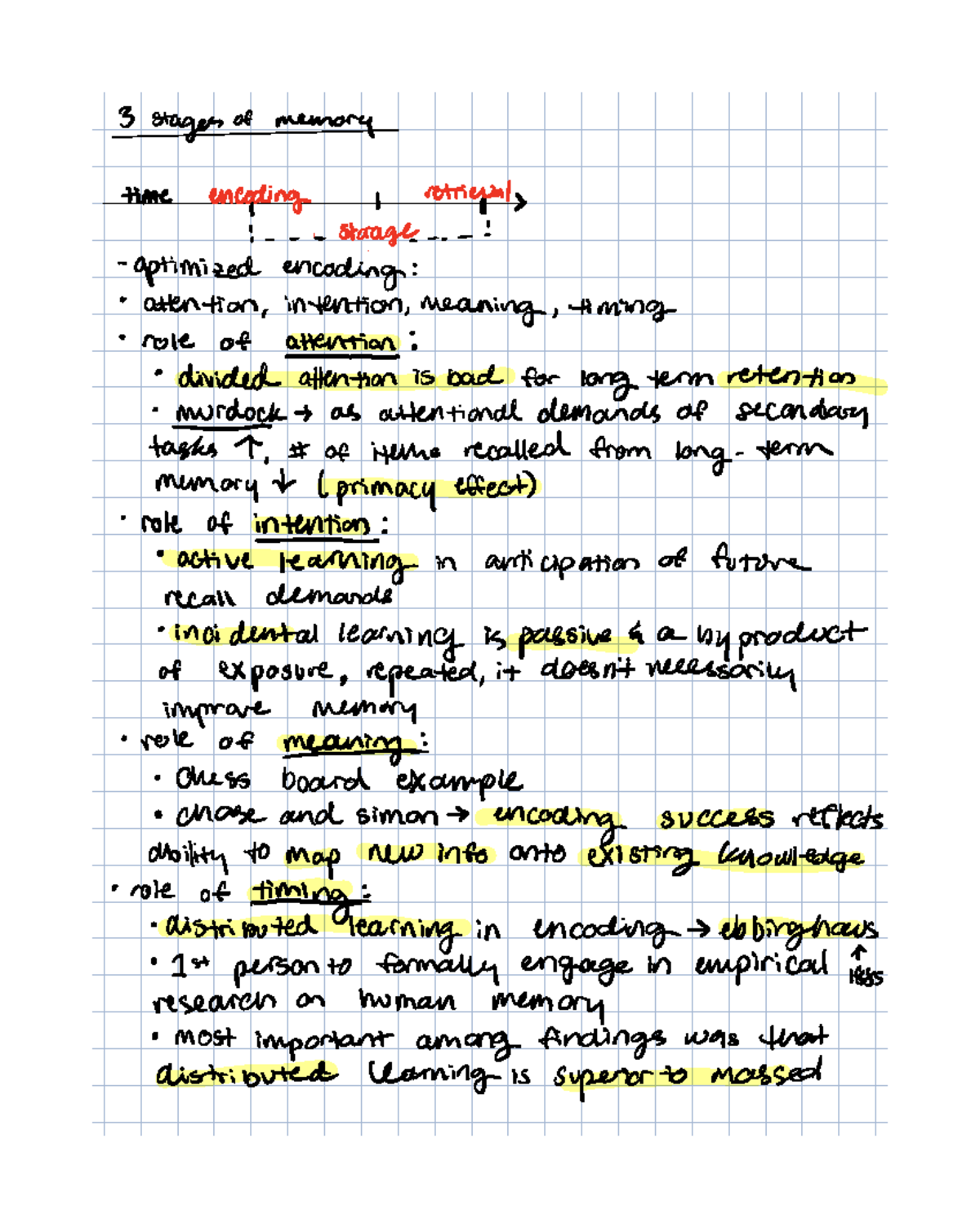 Understanding Memory Stages: Encoding, Retrieval & Forgetting - Studocu