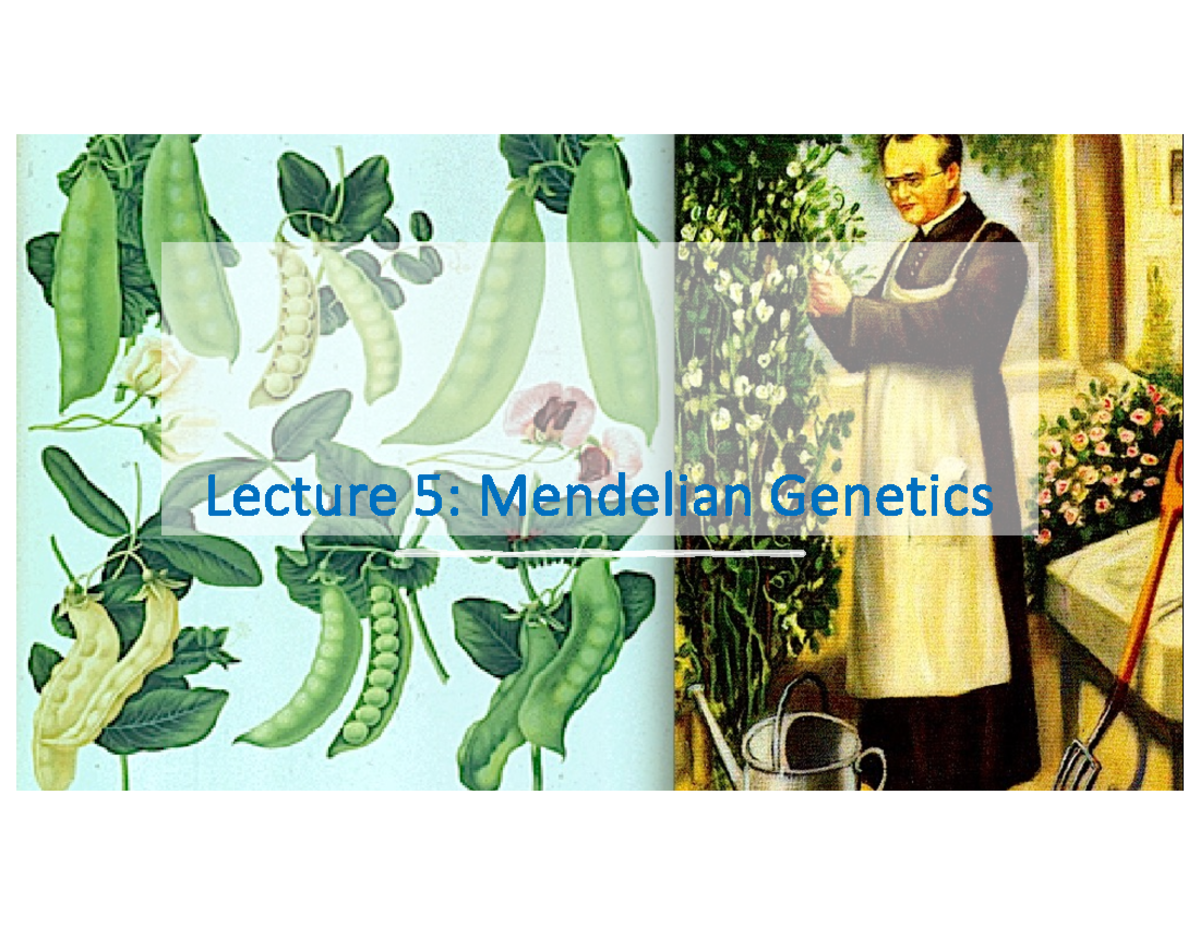 BIO 1331 SP 25 Final Exam Lecture 5: Mendelian Genetics Overview ...