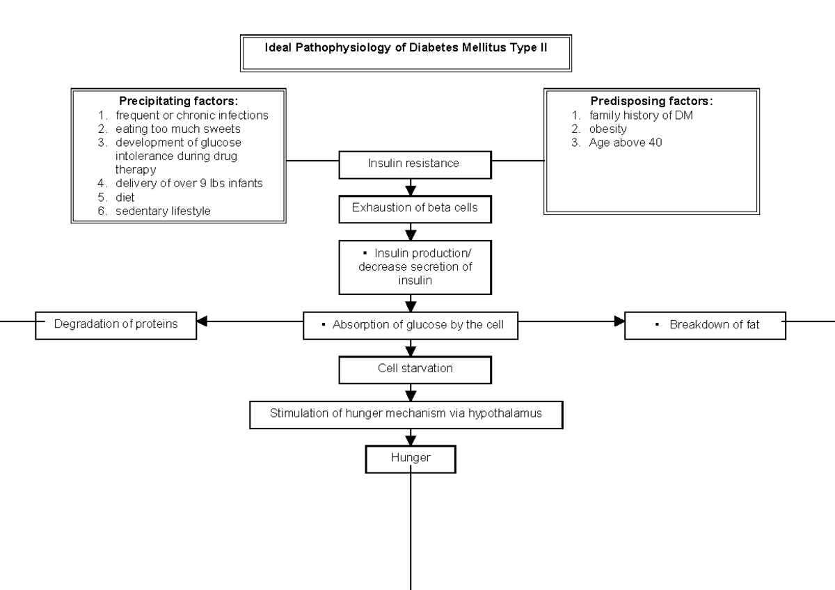 Pathophysiology of Diabetes Mellitus Type II: Key Factors & Effects ...