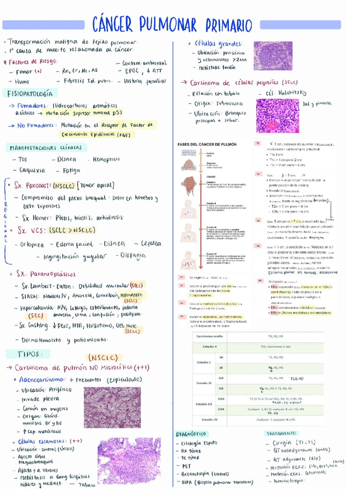 CÁNCER PULMONAR PRIMARIO: FISIOPATOLOGÍA Y MANIFESTACIONES CLÍNICAS ...