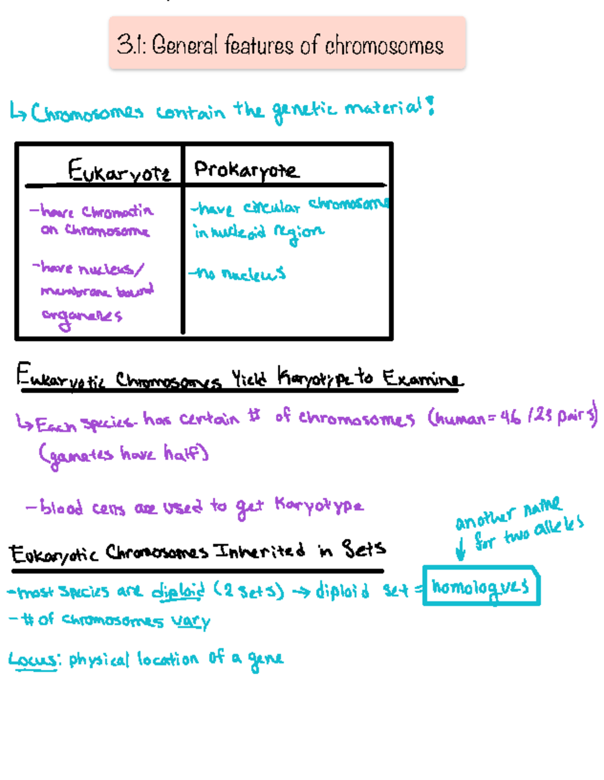 Chapter 3 Lecture: Chromosomes and Cell Division Insights - Studocu