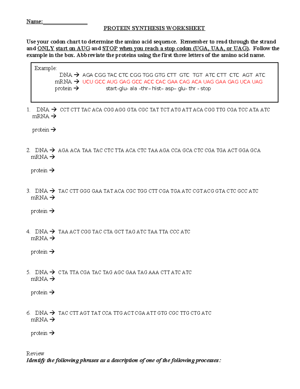 Protein synthesis worksheet 1 - Name:_______________ PROTEIN SYNTHESIS ...