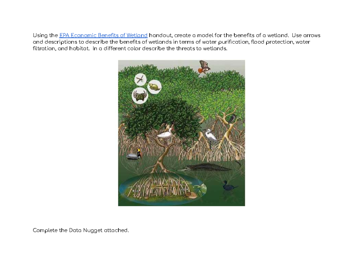 Wetlands Assignment - Using the EPA Economic Benefits of Wetland ...