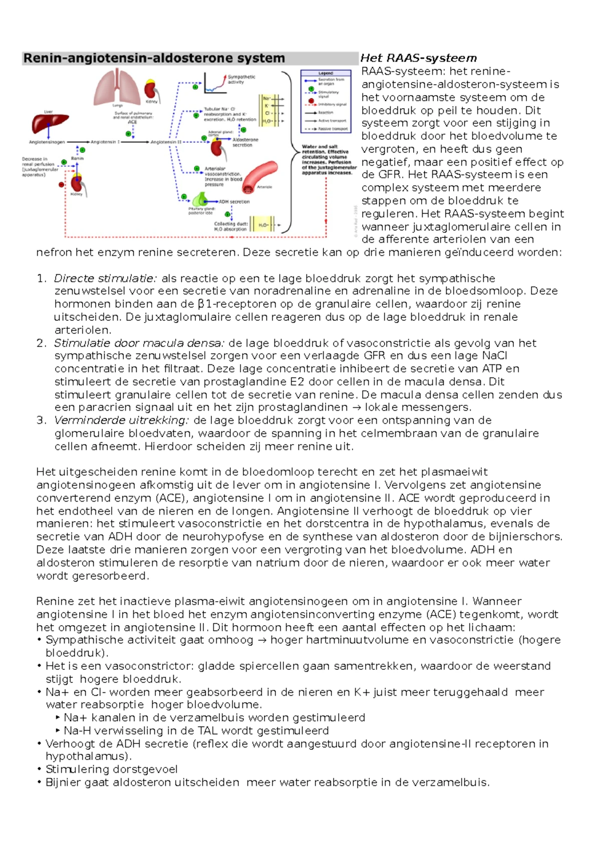 Het RAAS systeem - Het RAAS-systeem RAAS-systeem: het renine ...