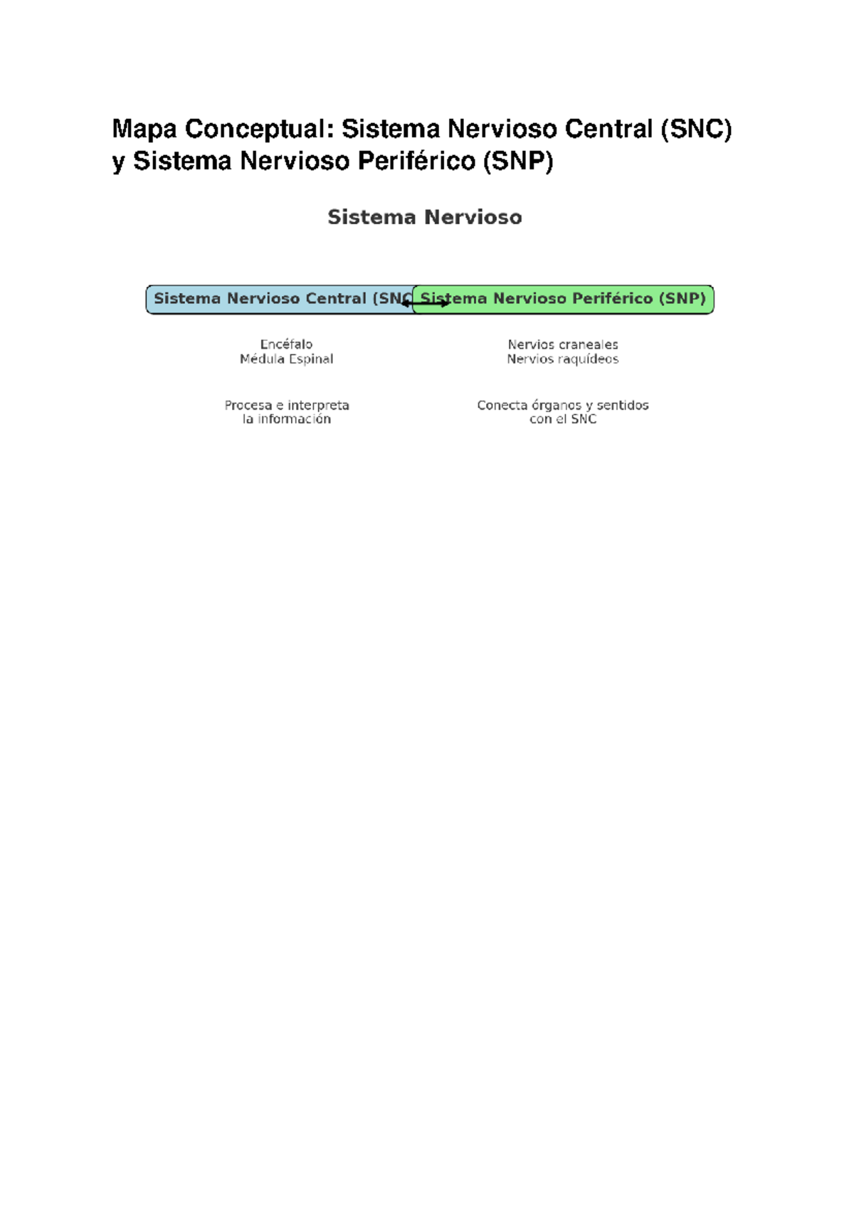 Mapa Conceptual SNC SNP - Razonamiento Logico Matematico - Mapa ...
