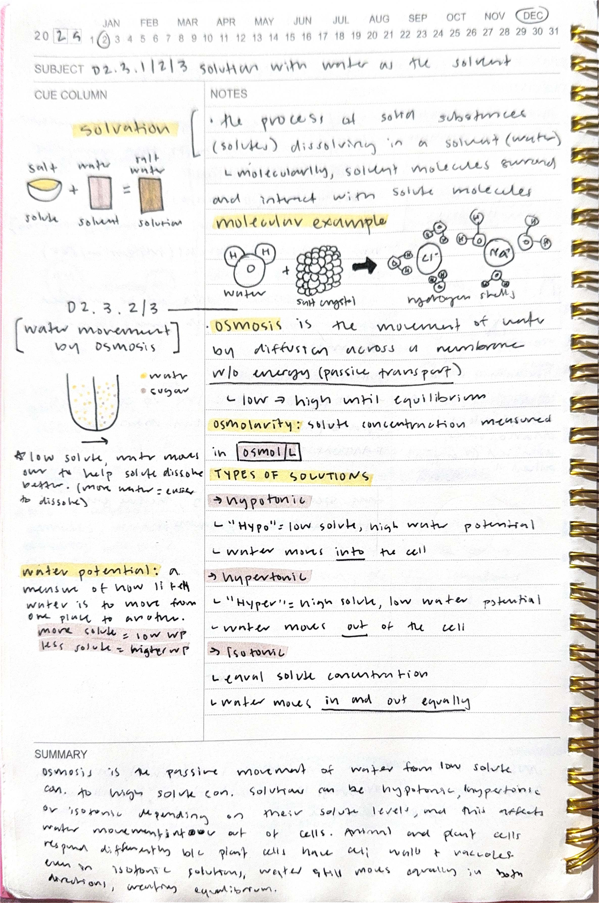 Cornell Notes: Solutions, Osmosis, and Medical Applications (02.3.11213 ...